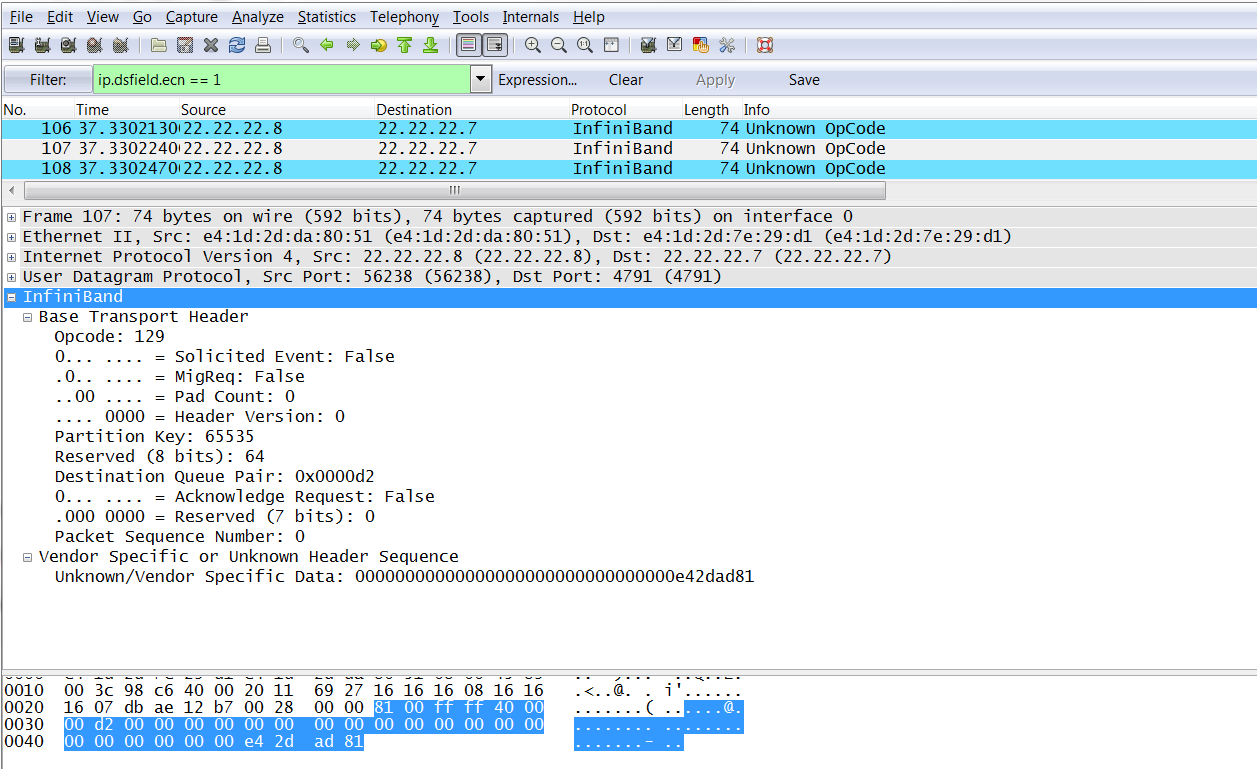 RoCEv2 CNP Packet Format Example