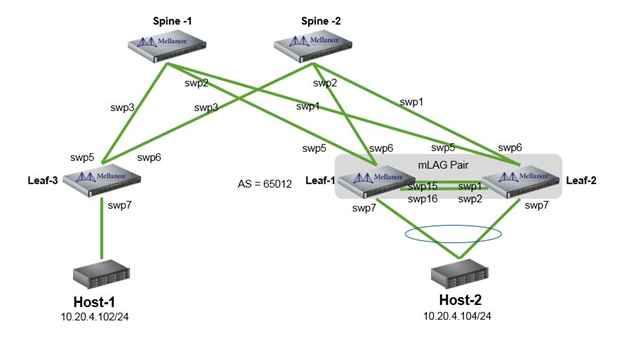 EVPN with Mellanox Switches