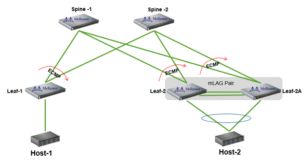Howto Configure Vxlan With Mlag Using Cumulus Linux